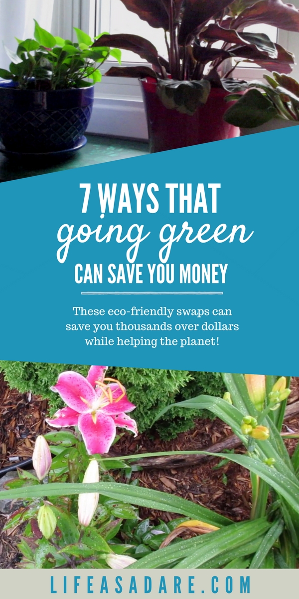 7 Ways to Save Money by Going Green | Eco-Friendly Living